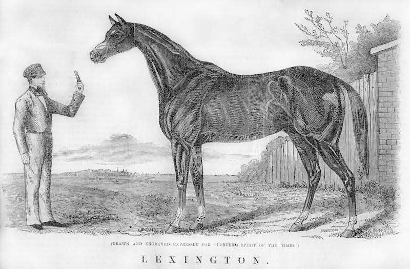 Owner Of Famed Stallion Lexington Survived Brush With Death, Paved The ...