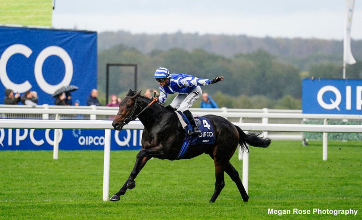 'What A Horse': Big Rock Wins QE II Stakes On Front End, Earns Breeders ...