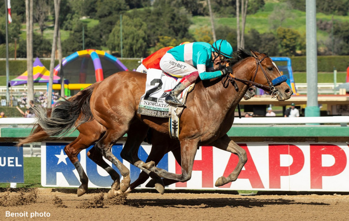 Grade 1 Winner Newgate Joins Three Chimneys Farm Roster In 2025 ...