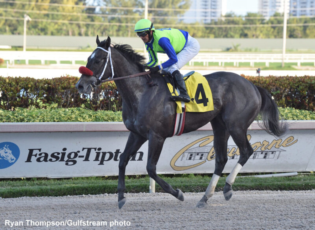 Dreaming Of Kona Elevated To First In Mucho Macho Man On DQ Of Legacy ...