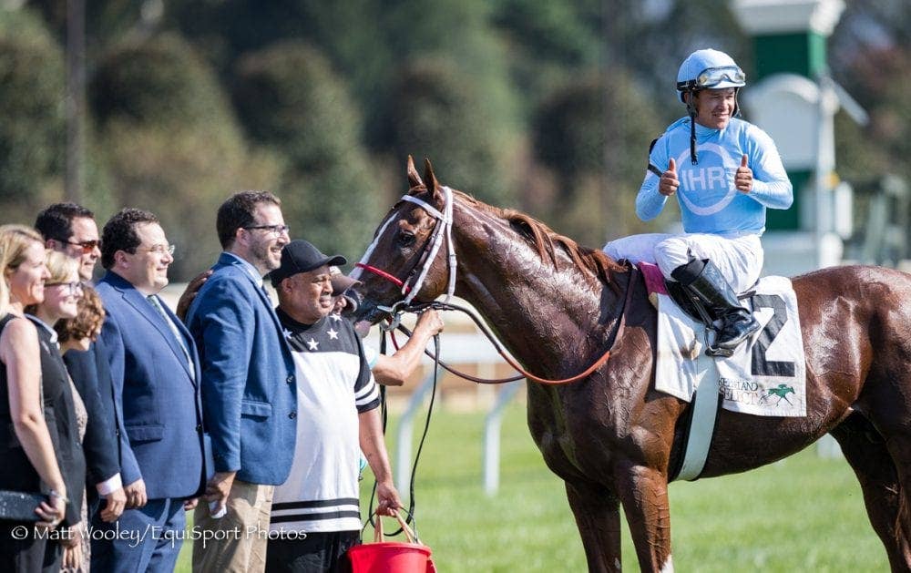 'Who Doesn't Like Rooting For An Underdog?': Malter Targets Royal Ascot ...