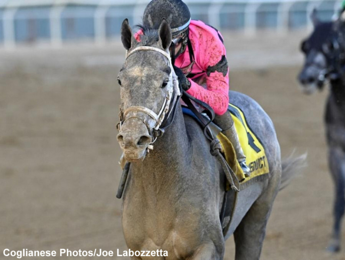 Cox, Pletcher Bring Loaded Arsenals For Wood Memorial - Paulick Report ...