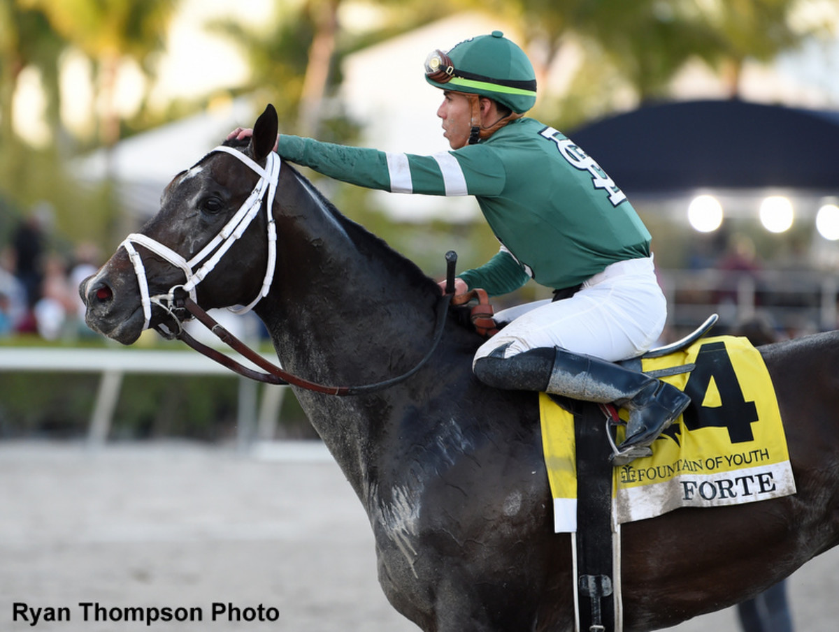 Formidable Forte: 'Good Foundation' From Champion 2-Year-Old Campaign ...