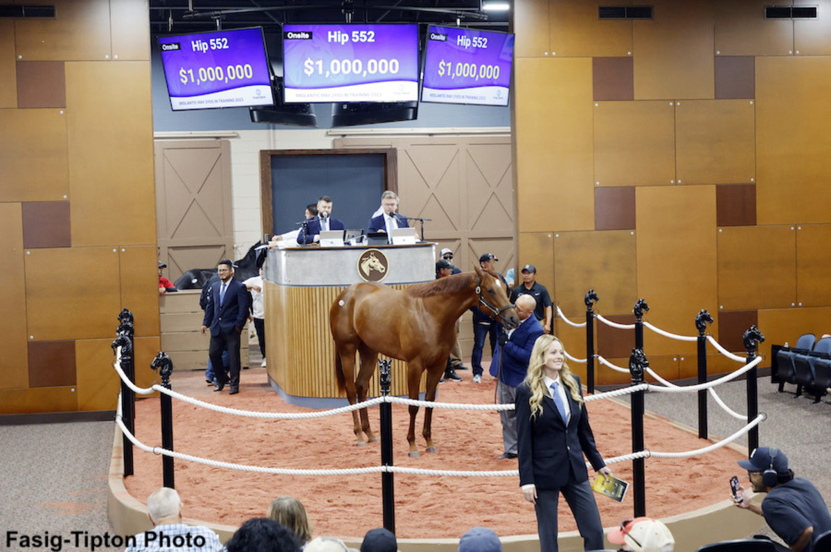 Million-Dollar Arrogate Filly Tops Fasig-Tipton Midlantic May Juvenile ...