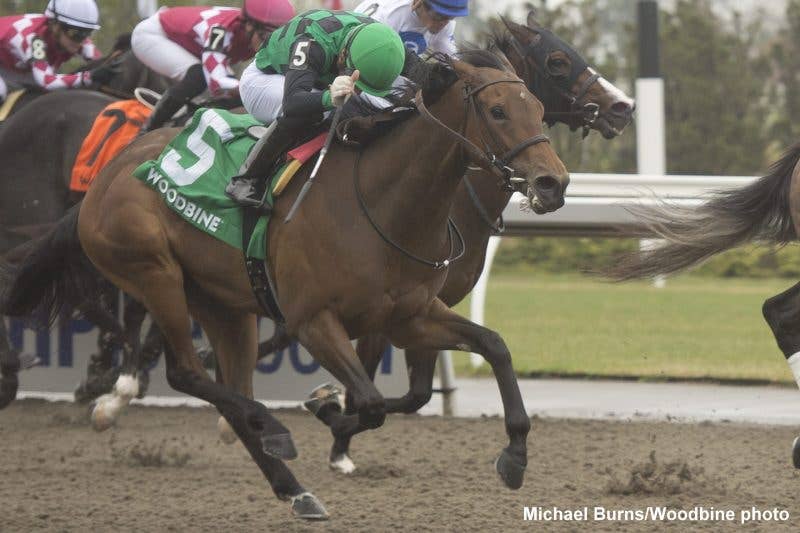 Jill Jitterburg Lands Woodbine's Star Shoot Via DQ - Paulick Report