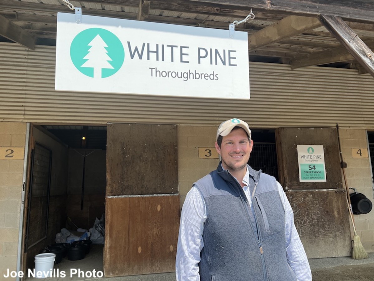 White Pine Thoroughbreds Sells Far From Their Old Kentucky Home At ...