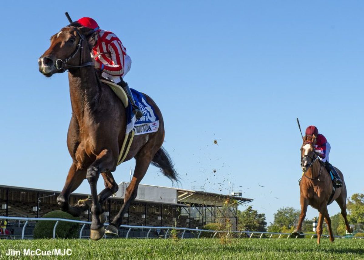 Highestdistinction Extends Streak In BWI Turf Cup At Pimlico - Paulick ...