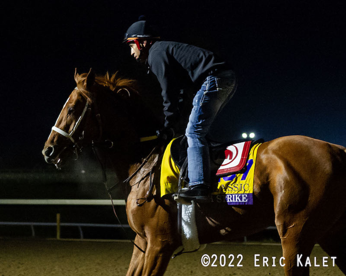 Kentucky Derby Winner Rich Strike Headed To Bill Mott After Brief ...