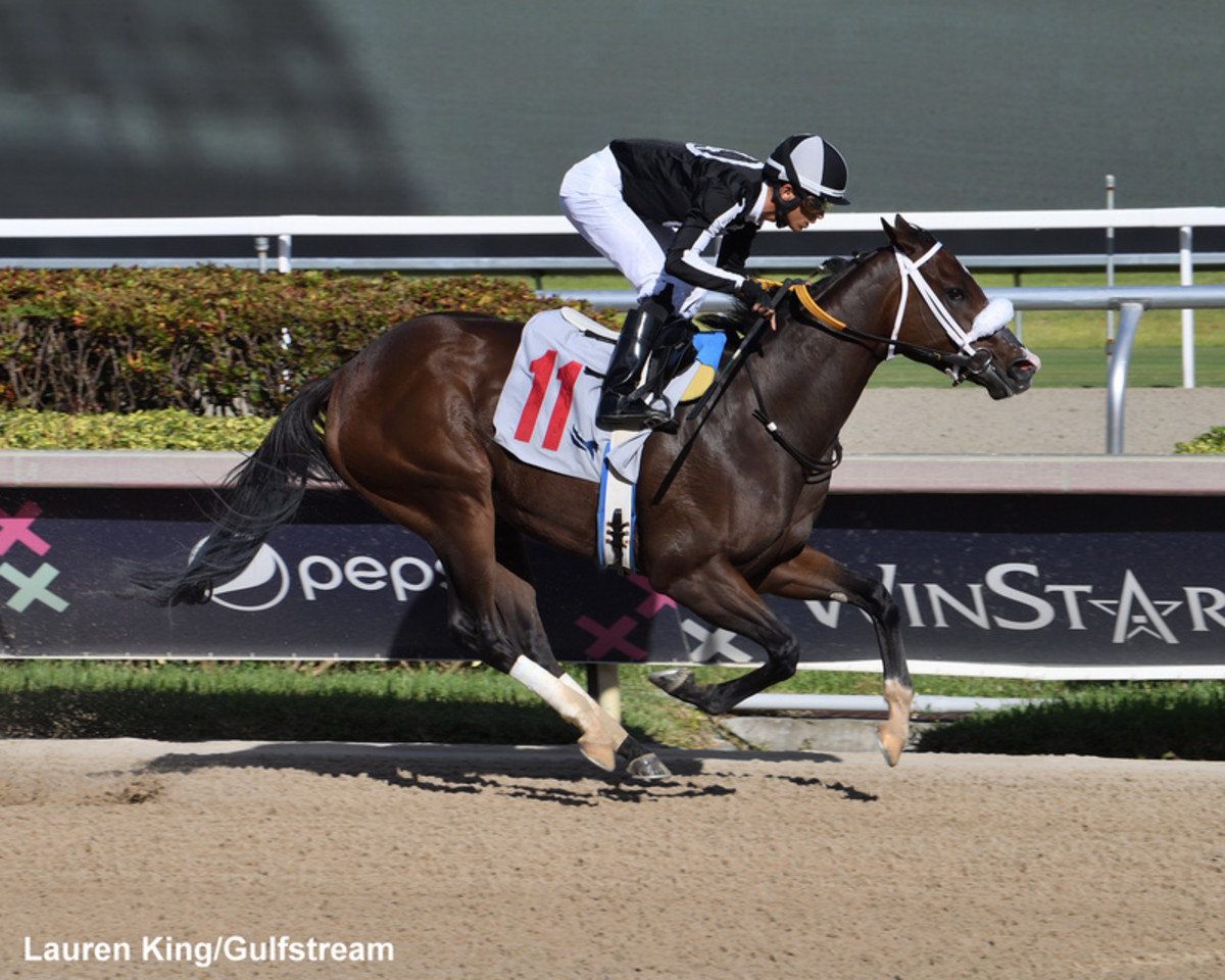 Graded Stakes Winner R Harper Rose Tops Fasig-Tipton March Digital Sale ...