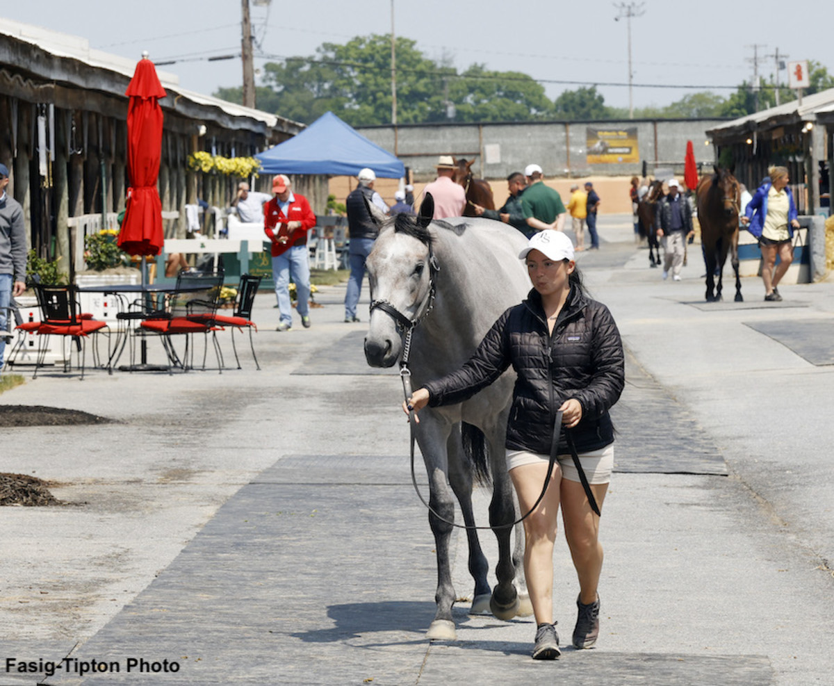 Meet The Team Behind A Session-Topping Mendelssohn Filly At Fasig ...