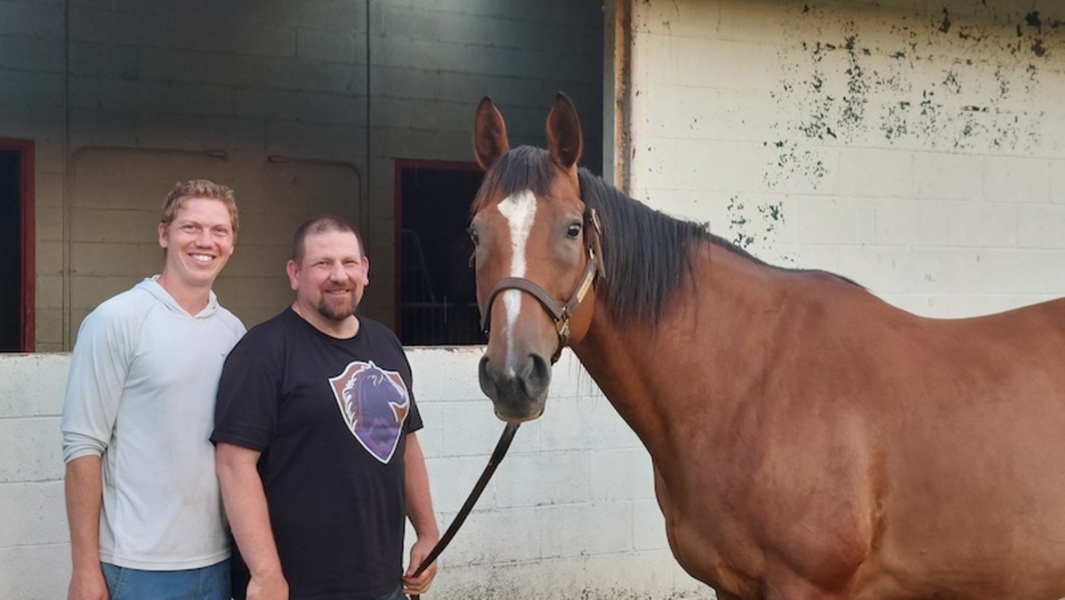 Mareworthy Wants To Rewrite The Story For Retiring Thoroughbred Mares ...