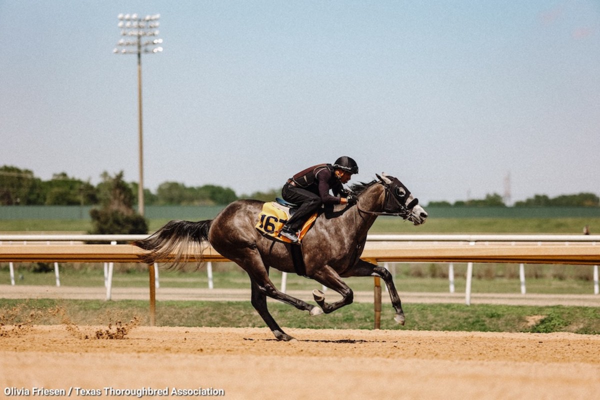 Tapwrit Filly Breezes Fastest Furlong At Texas 2-Year-Old Sale Under ...
