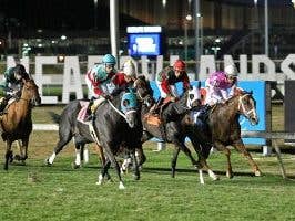 Two New Jersey-Bred Stakes Highlight 10-Day All-Turf Monmouth-At ...