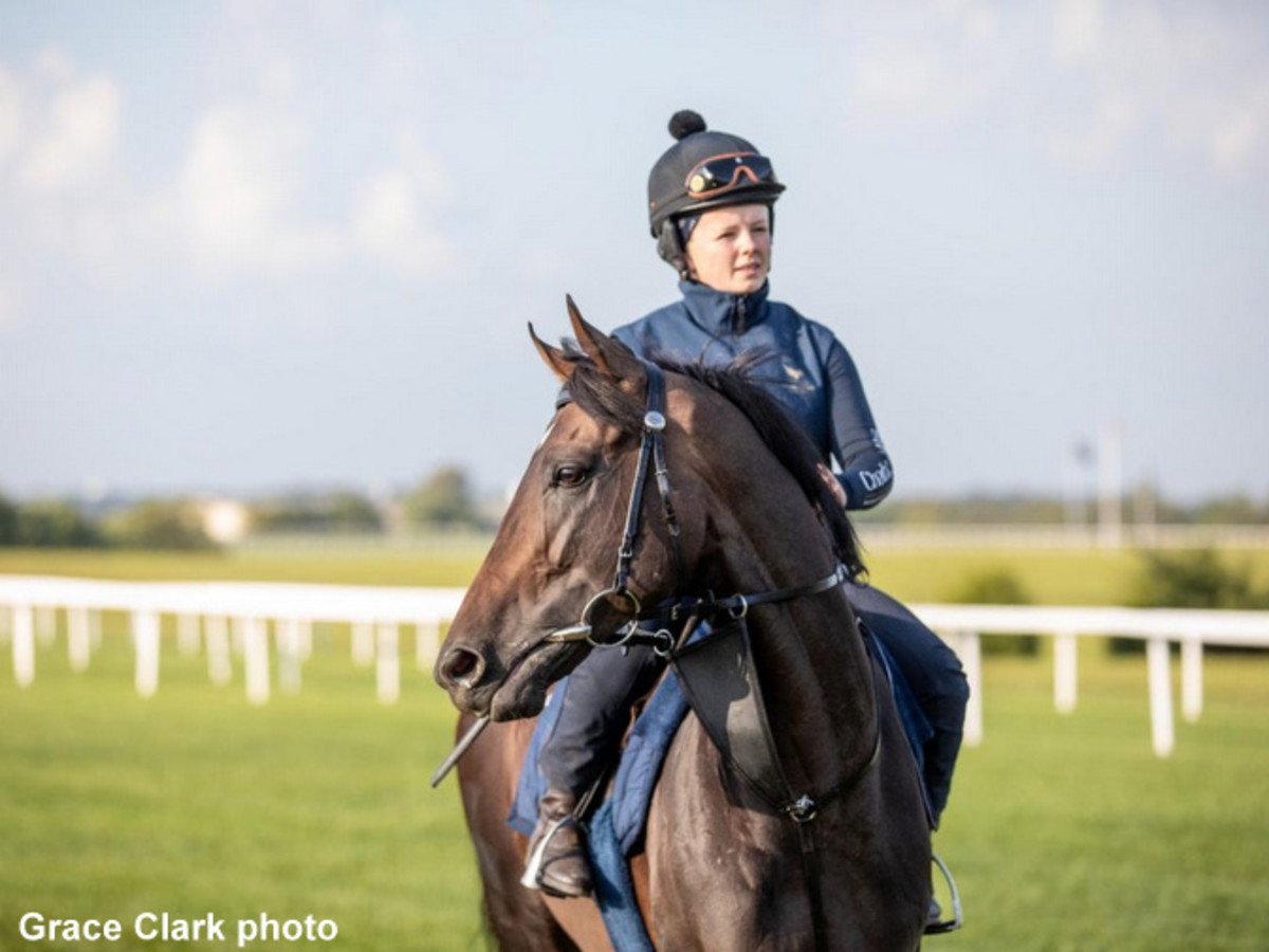 'You're Almost Disbelieving': Work Rider Kayleigh Stephens Enjoyed ...