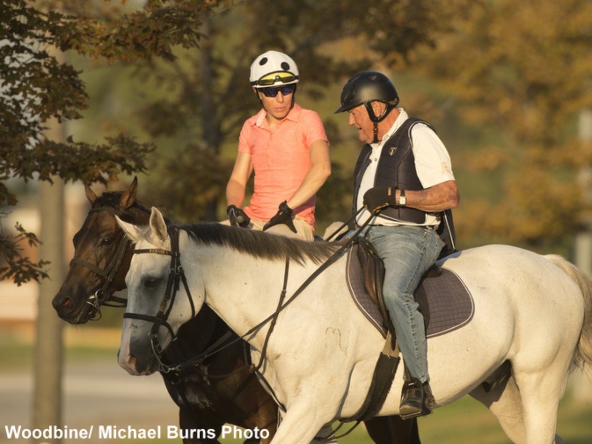 Live On NBC: Shirl's Speight, War Bomber Lead Saturday's 'Win And You ...