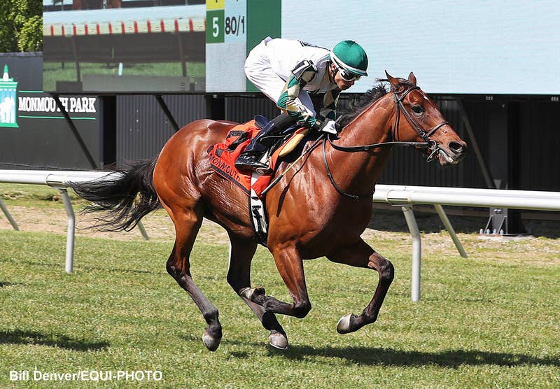 'We Got Out Of His Way': Streaking Big Everest Headlines Saturday's ...