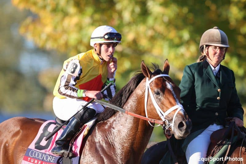 'Very Attractive': First Foal Is A Colt For Claiborne Farm's Annapolis ...