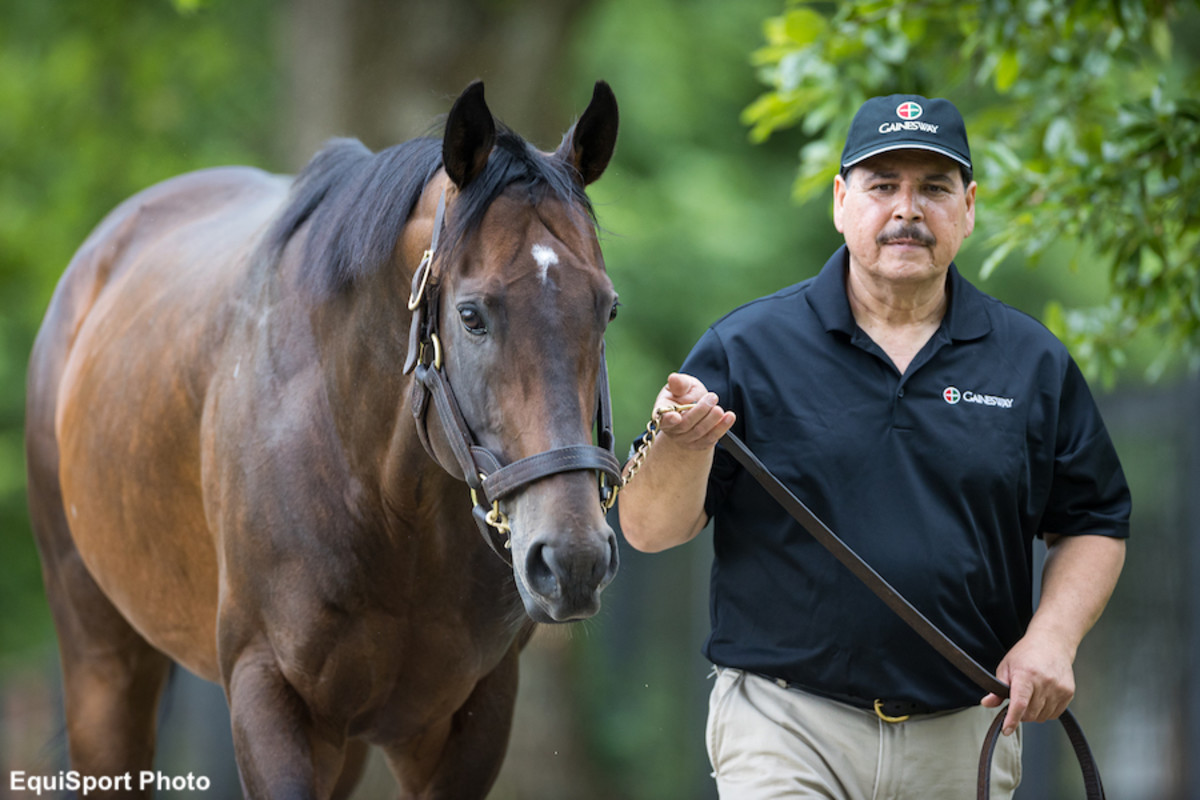 McKinzie Leads Rookie Yearling Sires Through First Half Of Keeneland ...