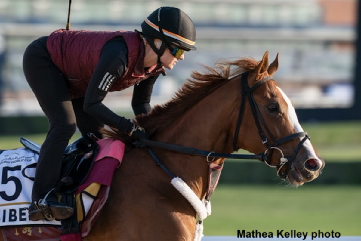 Kirkpatrick & Co. Presents In Their Care: Sibelius A Life-Changing ...