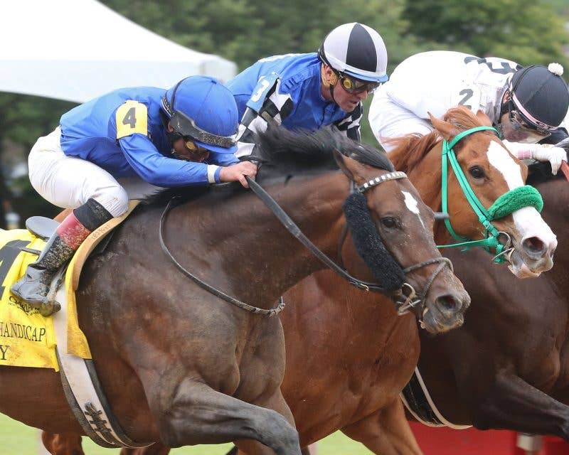 Proxy Adds To Stidham's Oaklawn Stakes Totals, Could Start Next In ...