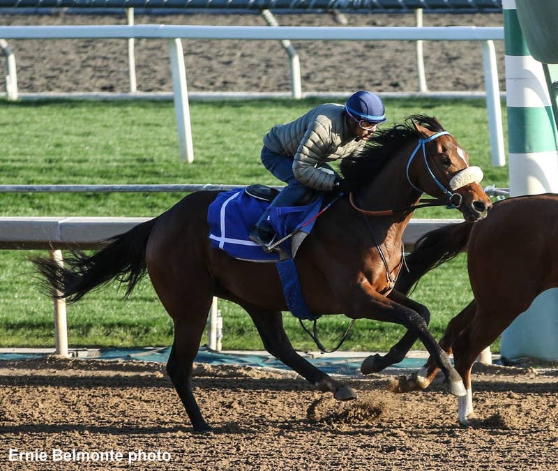 Practical Move, Skinner Among Santa Anita Derby Hopefuls Posting Final ...