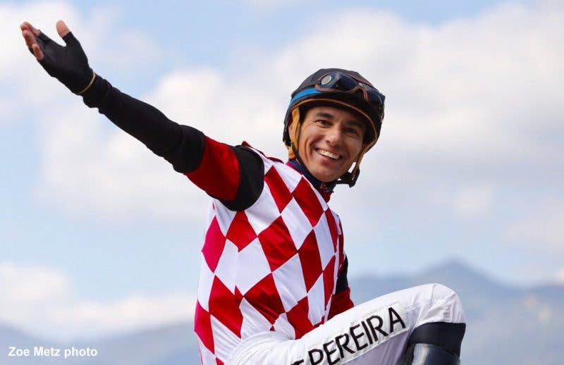 Tiago Pereira To Undergo Surgery Following Spill On Del Mar Turf ...