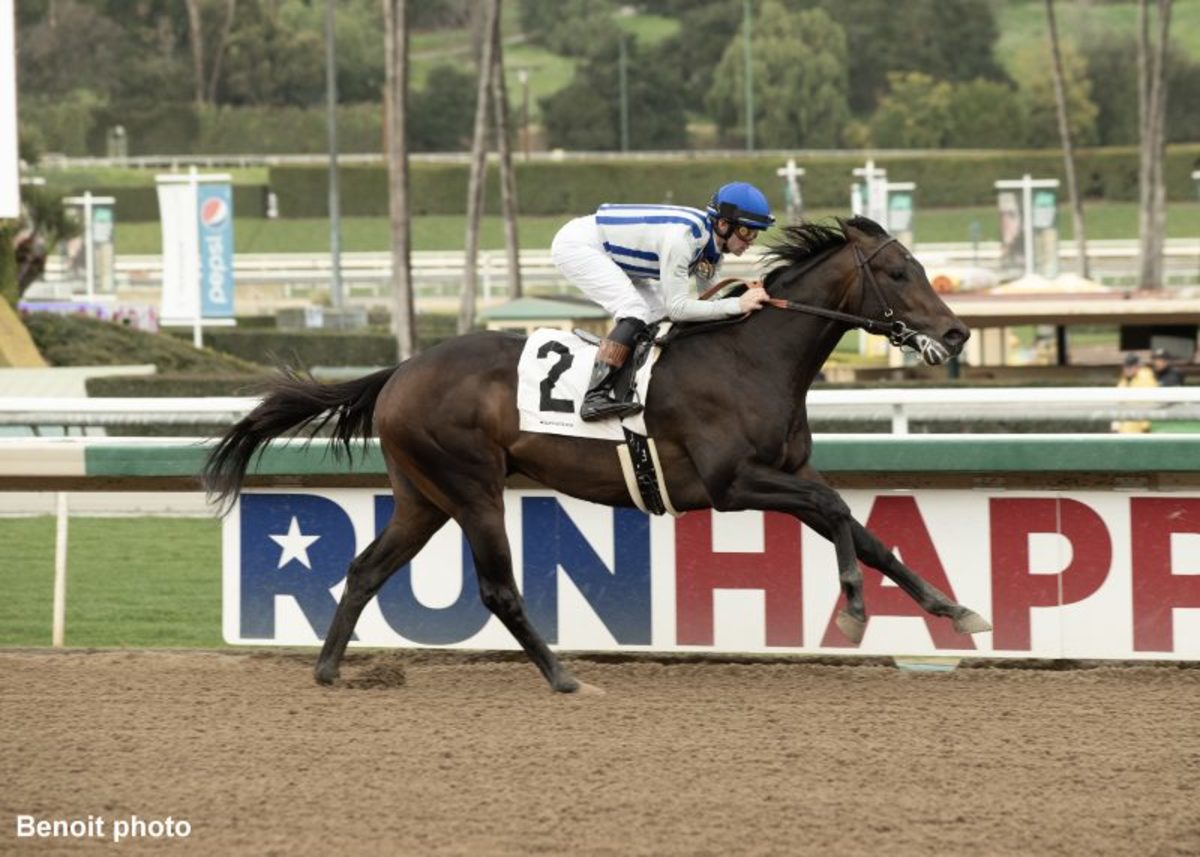 Flashy Maiden Winner Geaux Rocket Ride On Track For San Felipe ...
