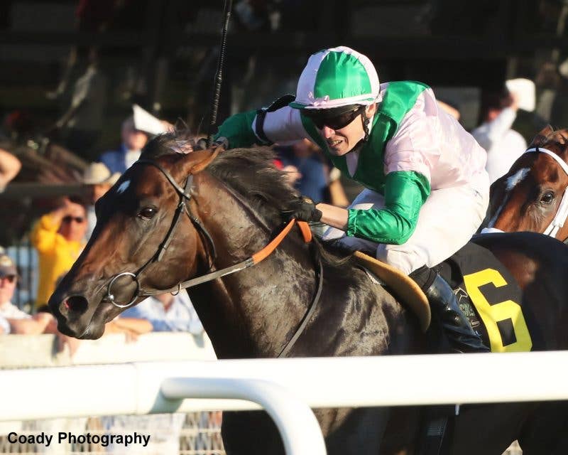 KY-Bred Import Ancient Rome Strikes For First U.S. Win In Mint Millions ...