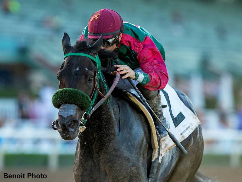 Multiple Stakes Winner Passarando Tops Field Of Eight In El Camino Real ...