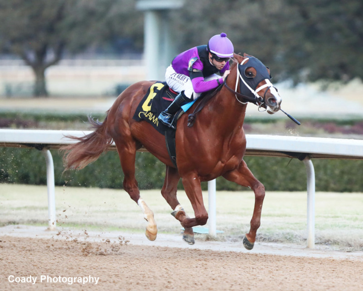 'The Dream Race Is The Arkansas Derby': Cox-Trained Eyeing Clover ...