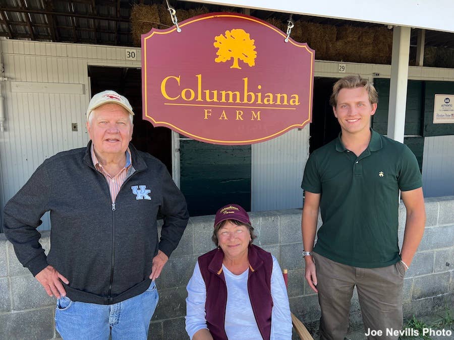 Bargain Broodmare Purchase Leads To Big-Selling Violence Filly For ...