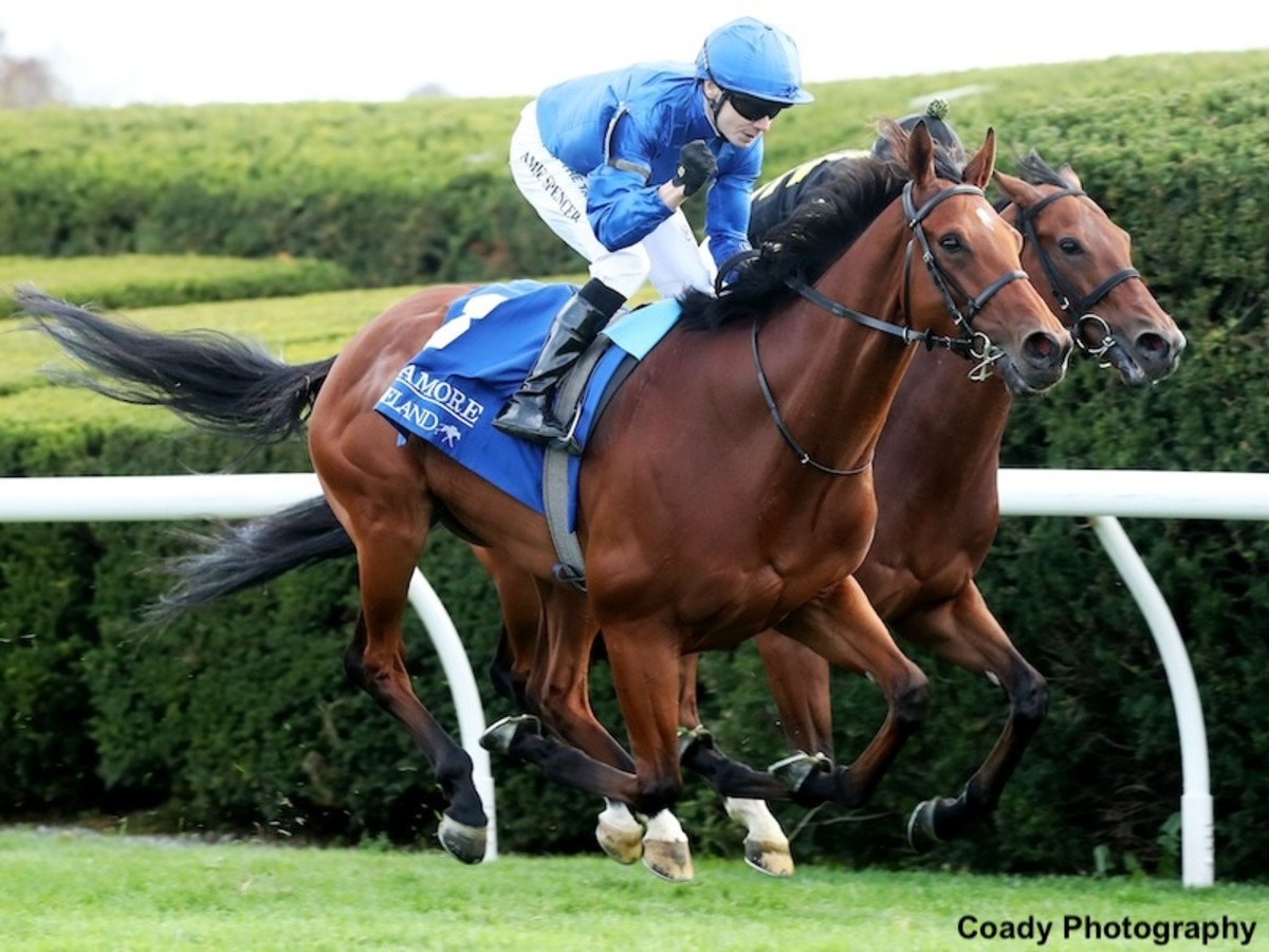 Godolphin Duo Bold Act, Silver Knot Top Field For Elkhorn - Paulick ...