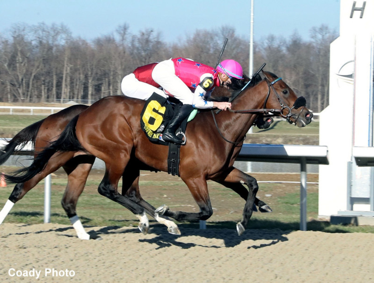 'Light On Experience' Scoobie Quando Headlines Full Field Chasing Derby ...