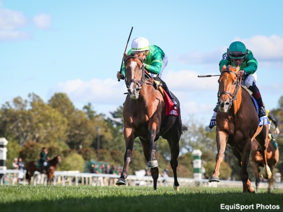 Longshot Gina Romantica Gives Chad Brown Sixth Consecutive First Lady ...