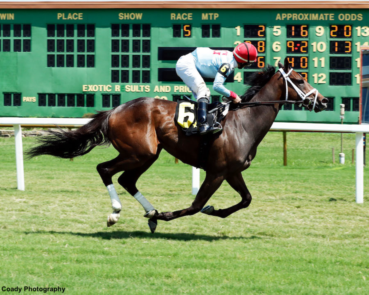 Lone Star Scores: Ranking The Top 10 Pinhooks Of The 2022 Texas Summer ...