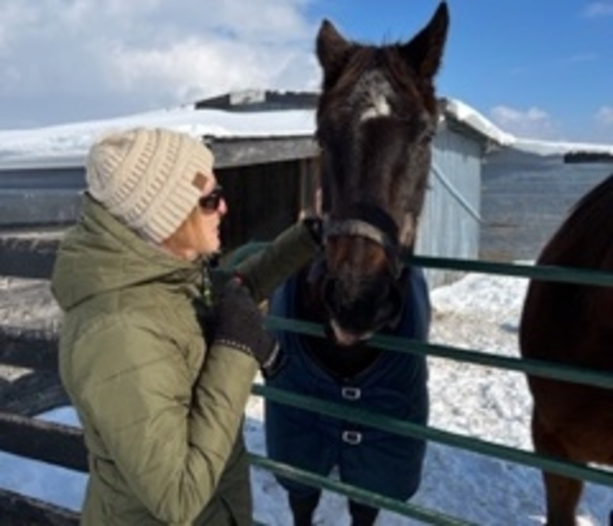 'A Beautiful Sight To See': The Major, Barbaro, And Their Adoring Fan ...