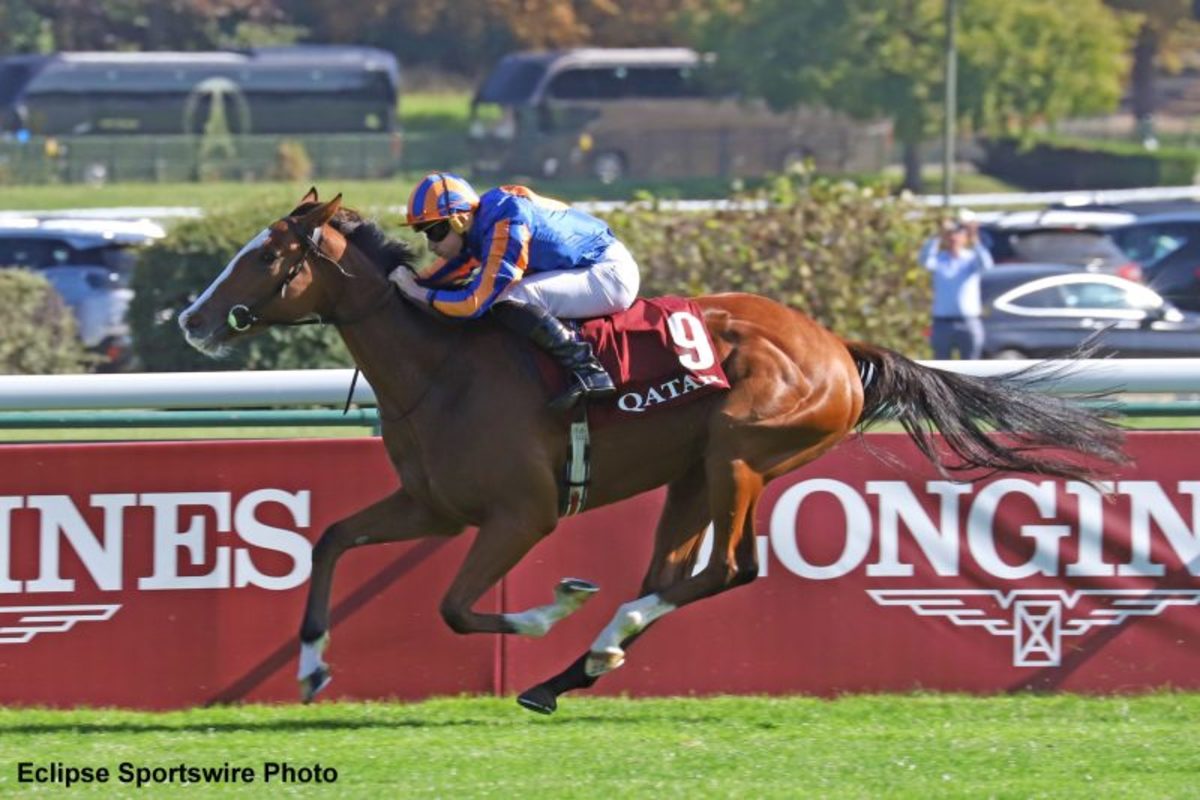 Arc Undercard: Highland Princess, Opera Singer Among Four To Earn ...