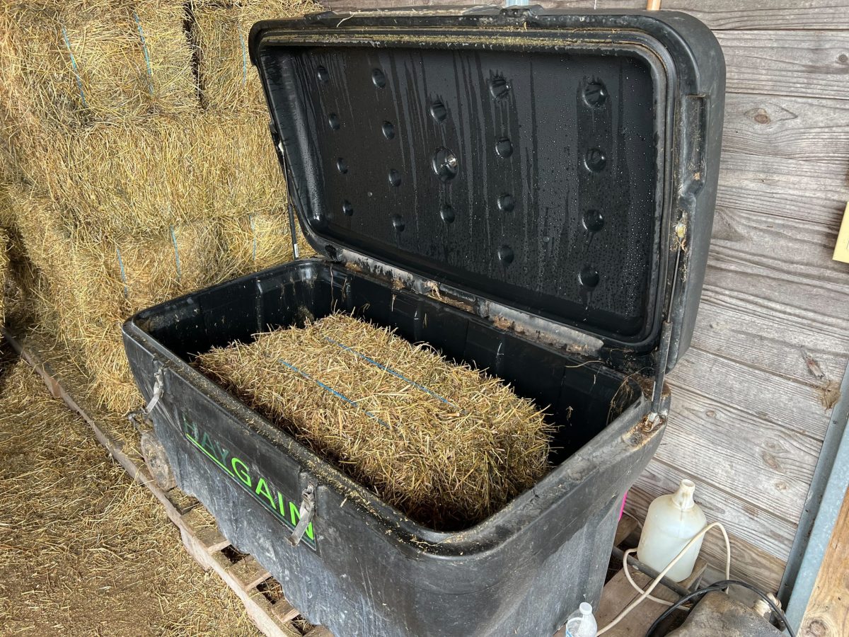 Research In Action: Purdue Studies Convinced Trainer To Steam His ...