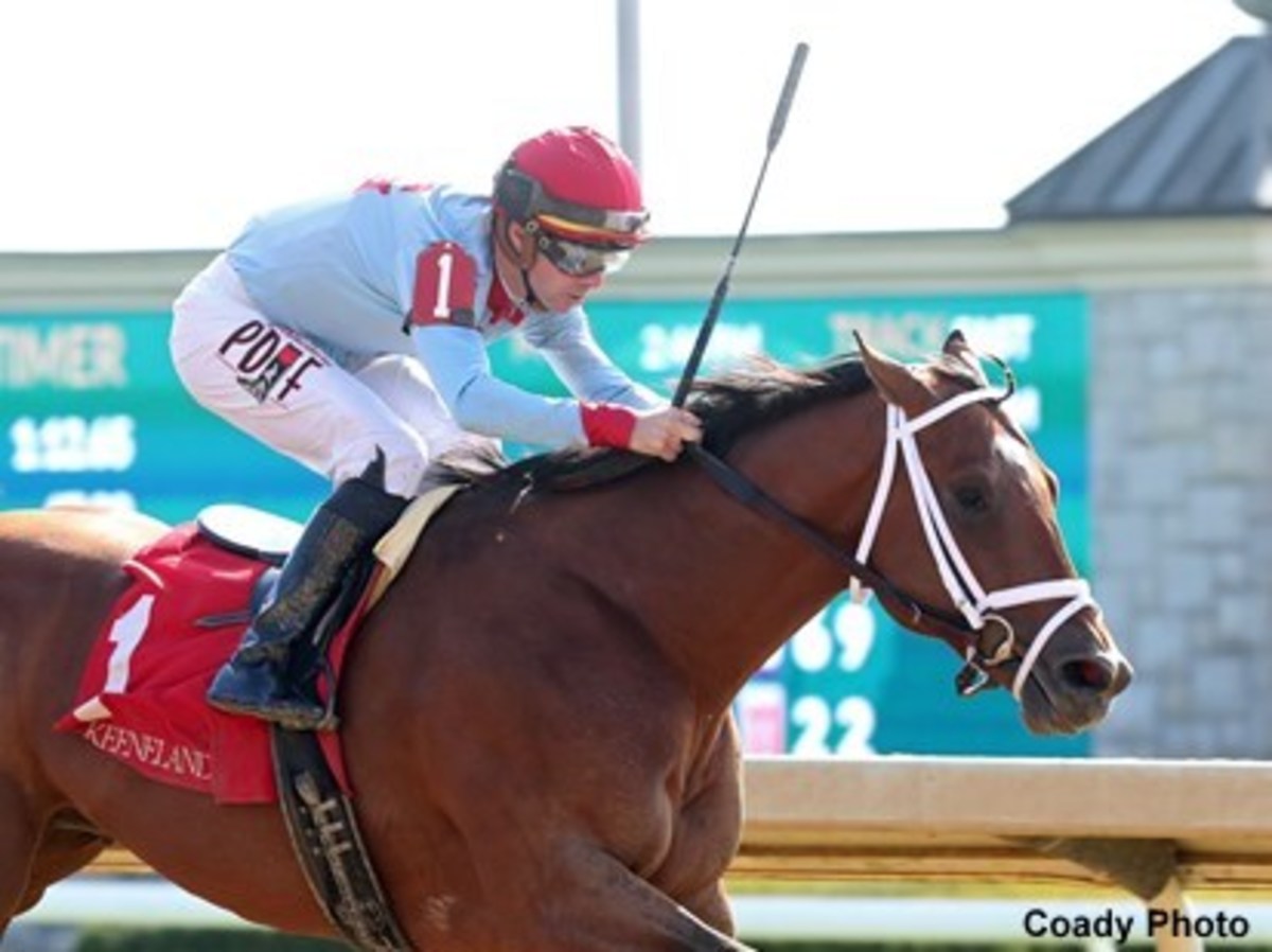 Jerome Winner Lugan Knight Returns In Saturday's Gotham - Paulick ...