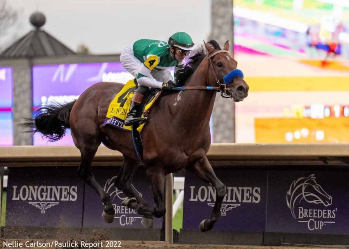 Flightline Heads Finalists For 2022 Eclipse Awards - Paulick Report ...