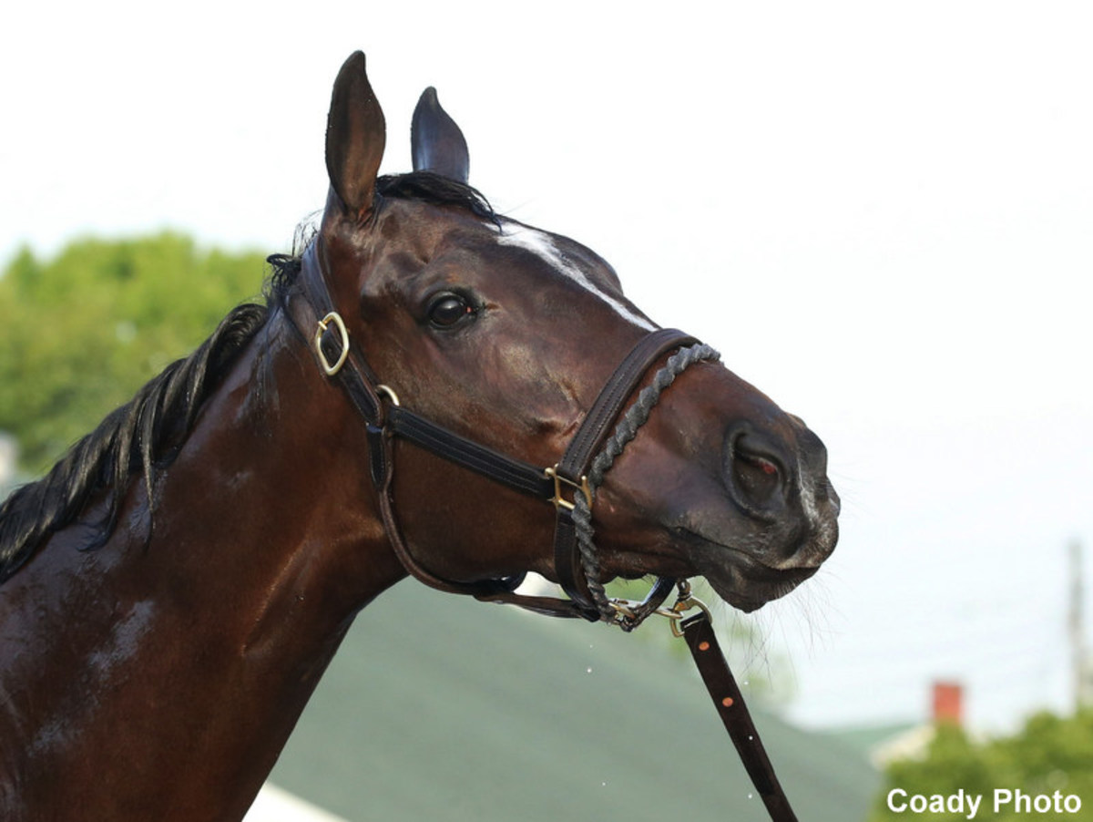 Kentucky Oaks: Joel Rosario To Pilot Wonder Wheel Hoping To 'Get Her ...
