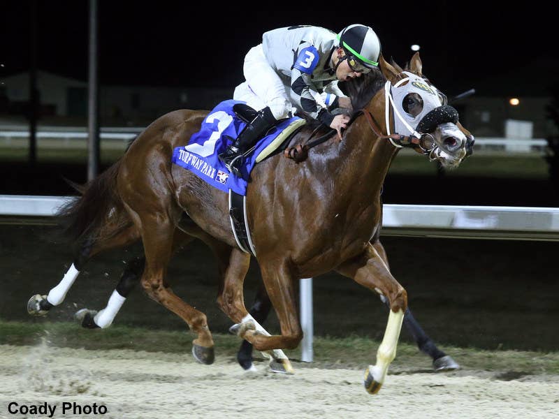 Wesley Ward's Kehoe Beach to Return in Rescheduled Wishing Well | Prism ...