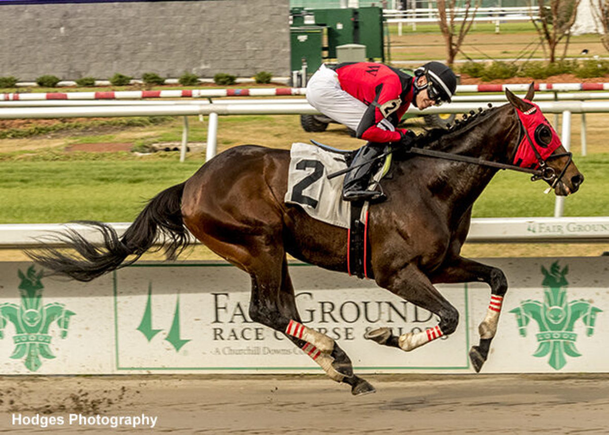 Beverly Park’s 15th Win Brings Down Curtain On Amazing 2022 Campaign ...