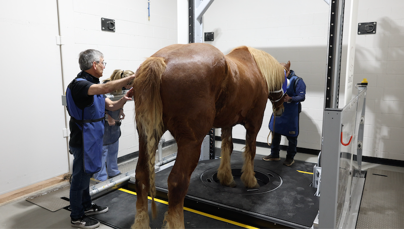 Innovative Technology Set To Further Improve Levels Of Care At SoCal ...