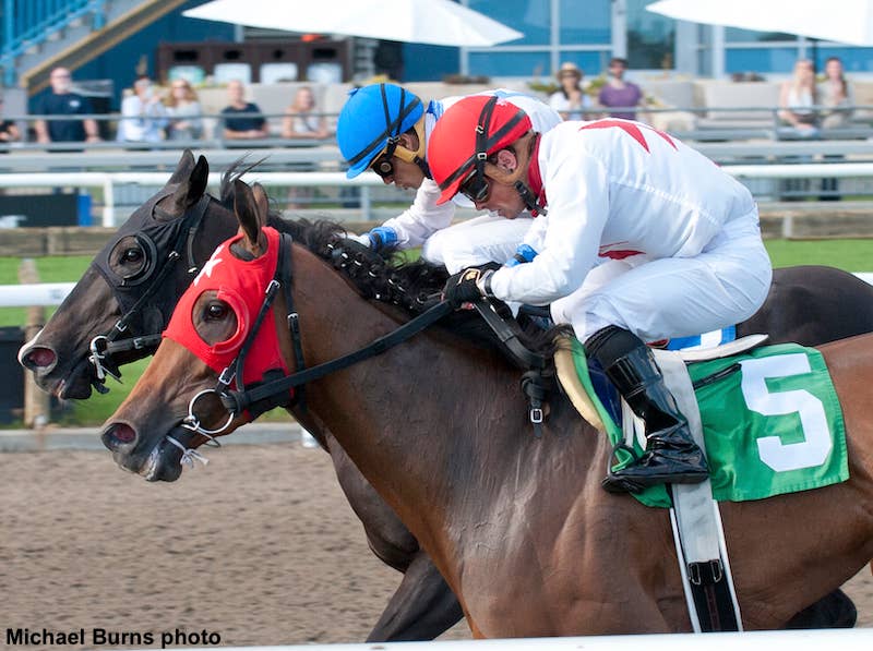 Campos Fractures Ribs, Vertebrae In Woodbine Paddock Mishap - Paulick ...