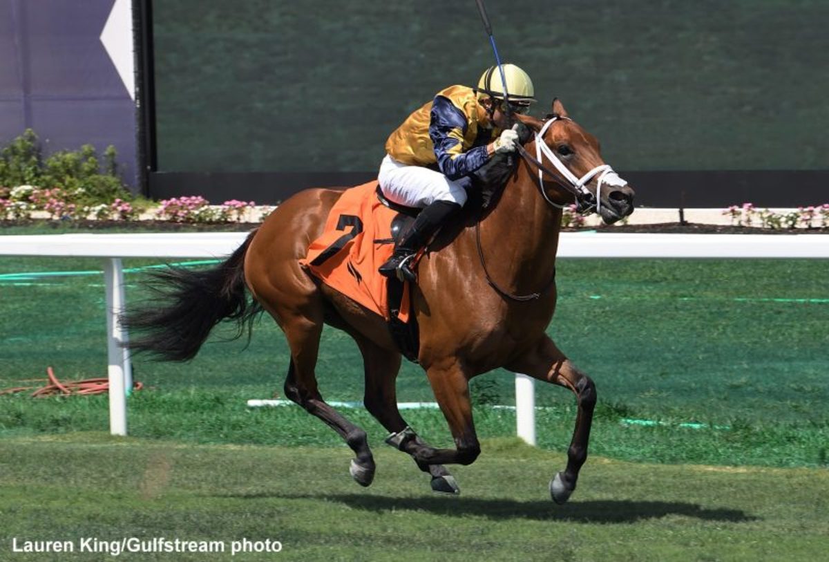 'A Pretty Nifty Colt': No Nay Mets Takes Royal Palm Juvenile In Career ...