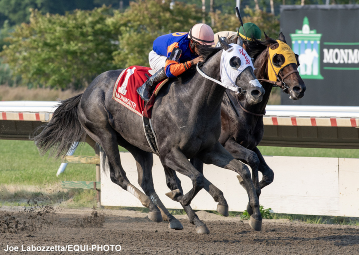 Favored Petulante Makes The Grade In Salvator Mile - Paulick Report ...