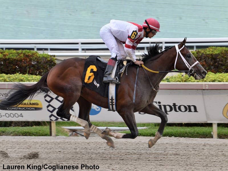 'We're Going To See Where We Are': Lord Miles Adds Blinkers For Holy ...