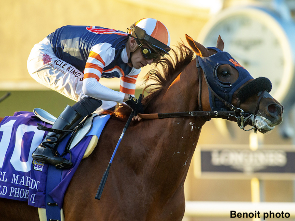 Gold Phoenix Secures Breeders' Cup Turf Spot With Del Mar Handicap ...