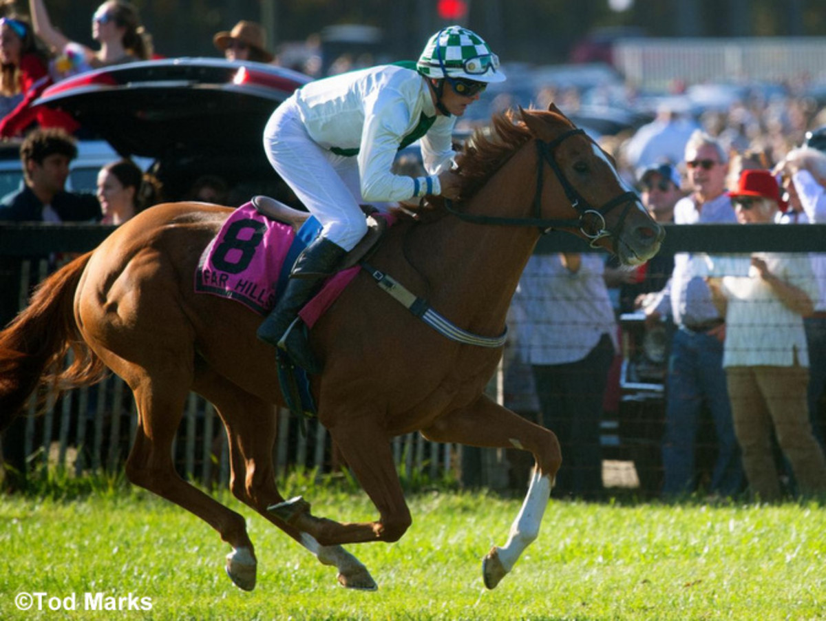 Far Hills: Stage Is Set For Steeplechasing’s 'Grand National' Day ...